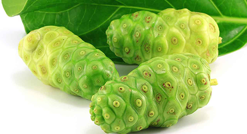 Noni Fruit – Health and Stuff